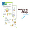 Ebook T2 : L'Anatomie du corps humain simplifiée ( dessin manga & clas ...