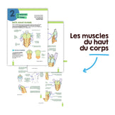 Ebook T2 : L'Anatomie du corps humaine simplifiée ( dessin manga & cla ...