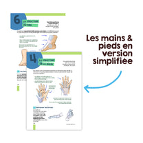 Ebook T2 : L'Anatomie du corps humain simplifiée ( dessin manga & clas ...