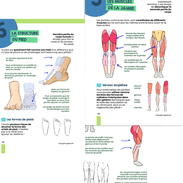 Ebook T2 : L'Anatomie du corps humain simplifiée ( dessin manga & clas ...