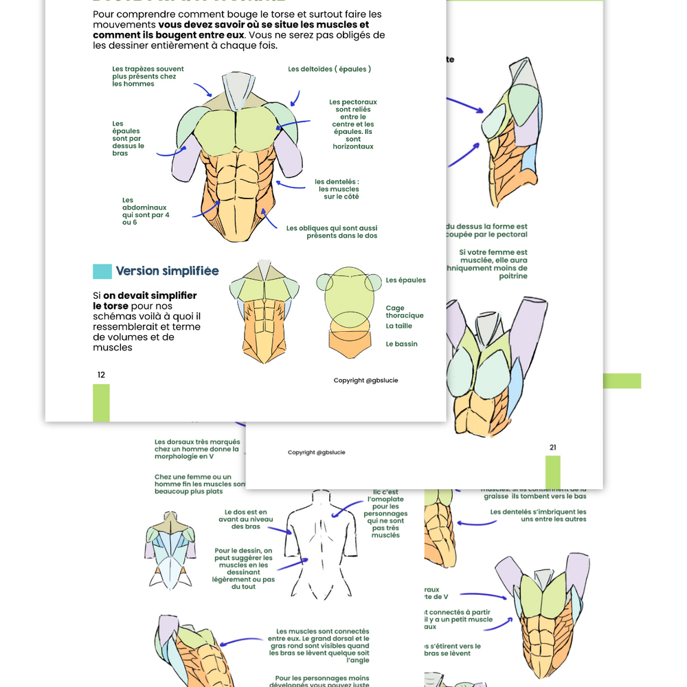Ebook T2 : L'Anatomie du corps humain simplifiée ( dessin manga & clas ...