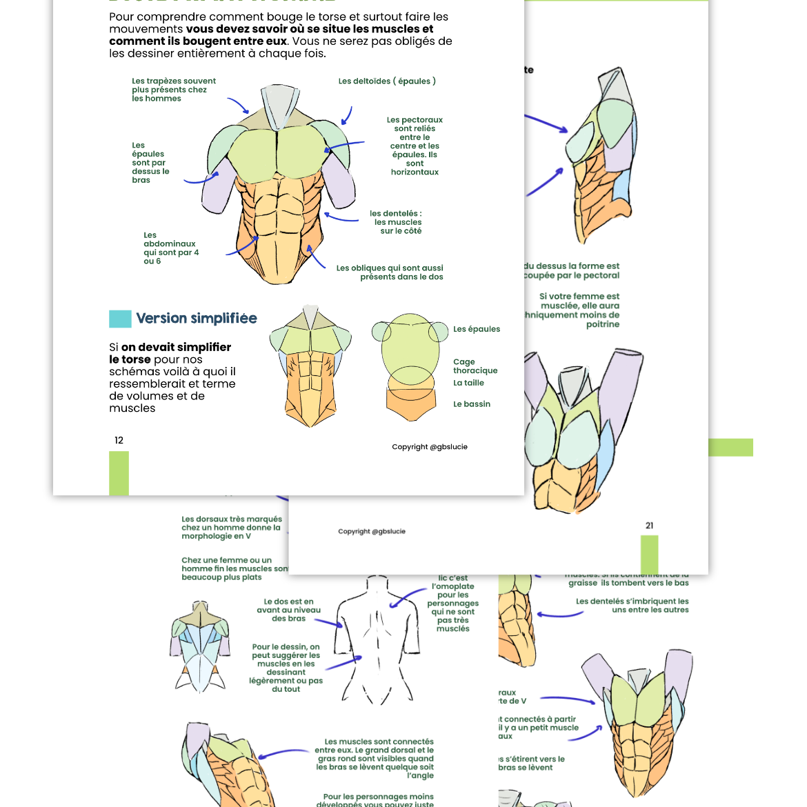 Ebook T2 : L'Anatomie du corps humain simplifiée ( dessin manga & clas ...