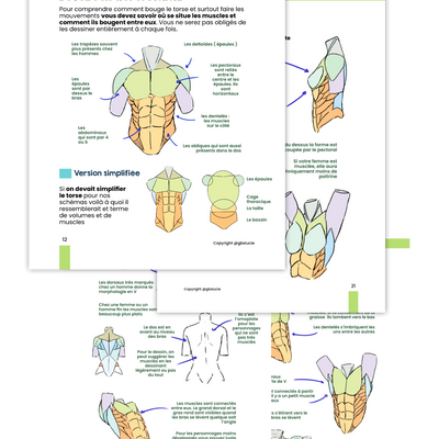 Ebook T2 : L'Anatomie du corps humain simplifiée ( dessin manga & clas ...