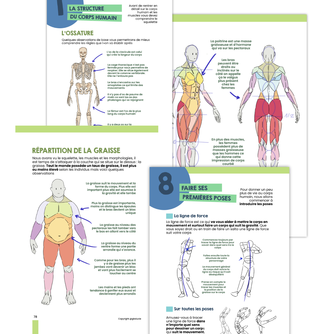 Ebook T2 : L'Anatomie du corps humain simplifiée ( dessin manga & clas ...