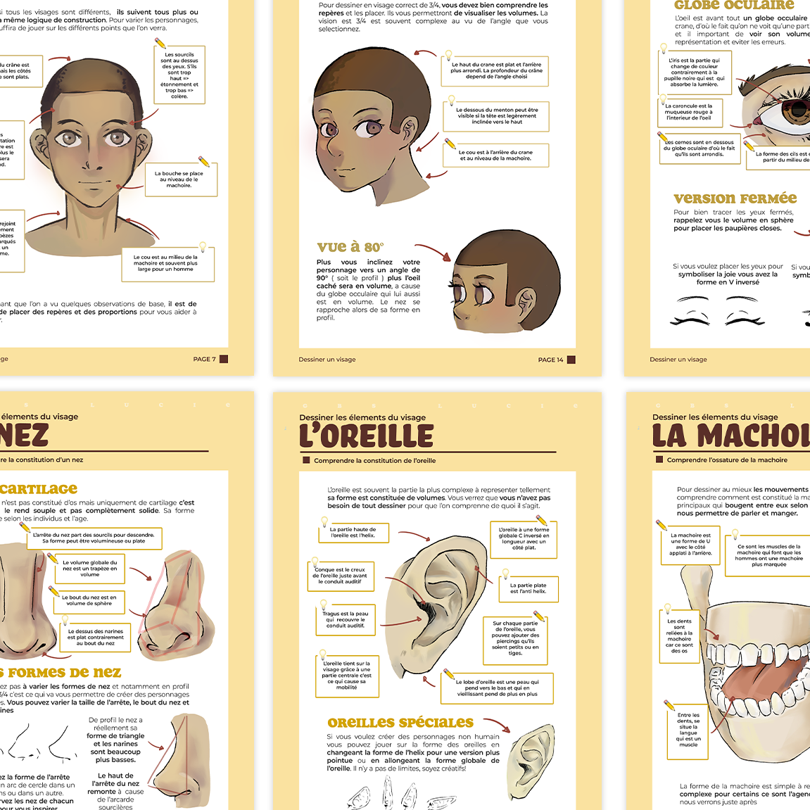 EBOOK T1 : Le visage – gbslucie